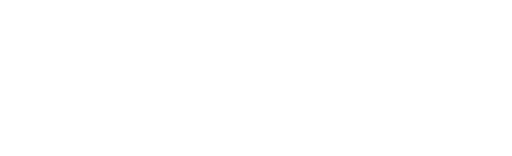Our Team – Solt Advisory